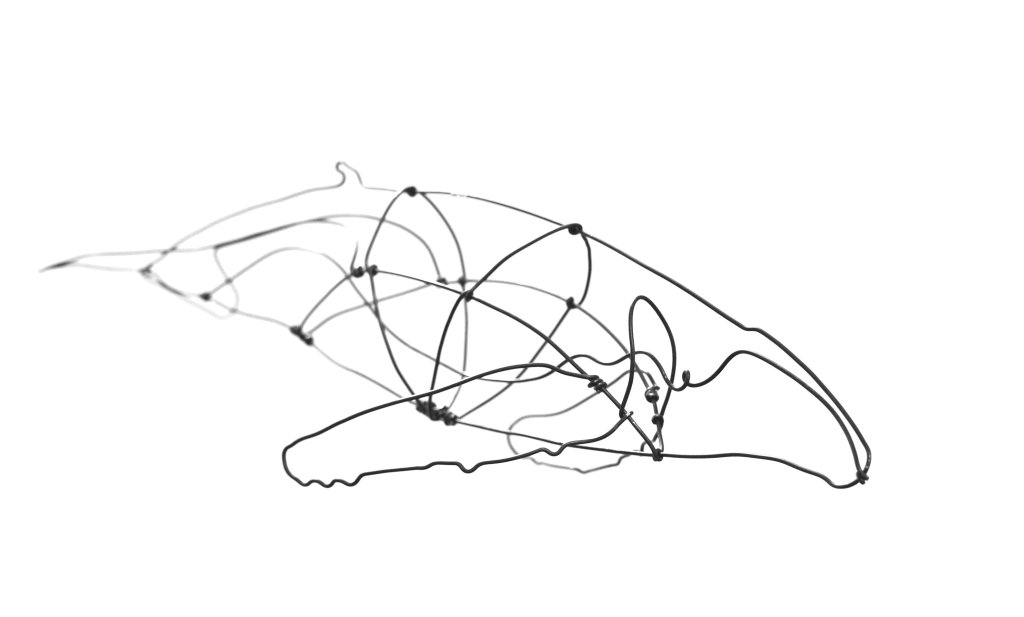 Wire Whales | Natasha van Netten
