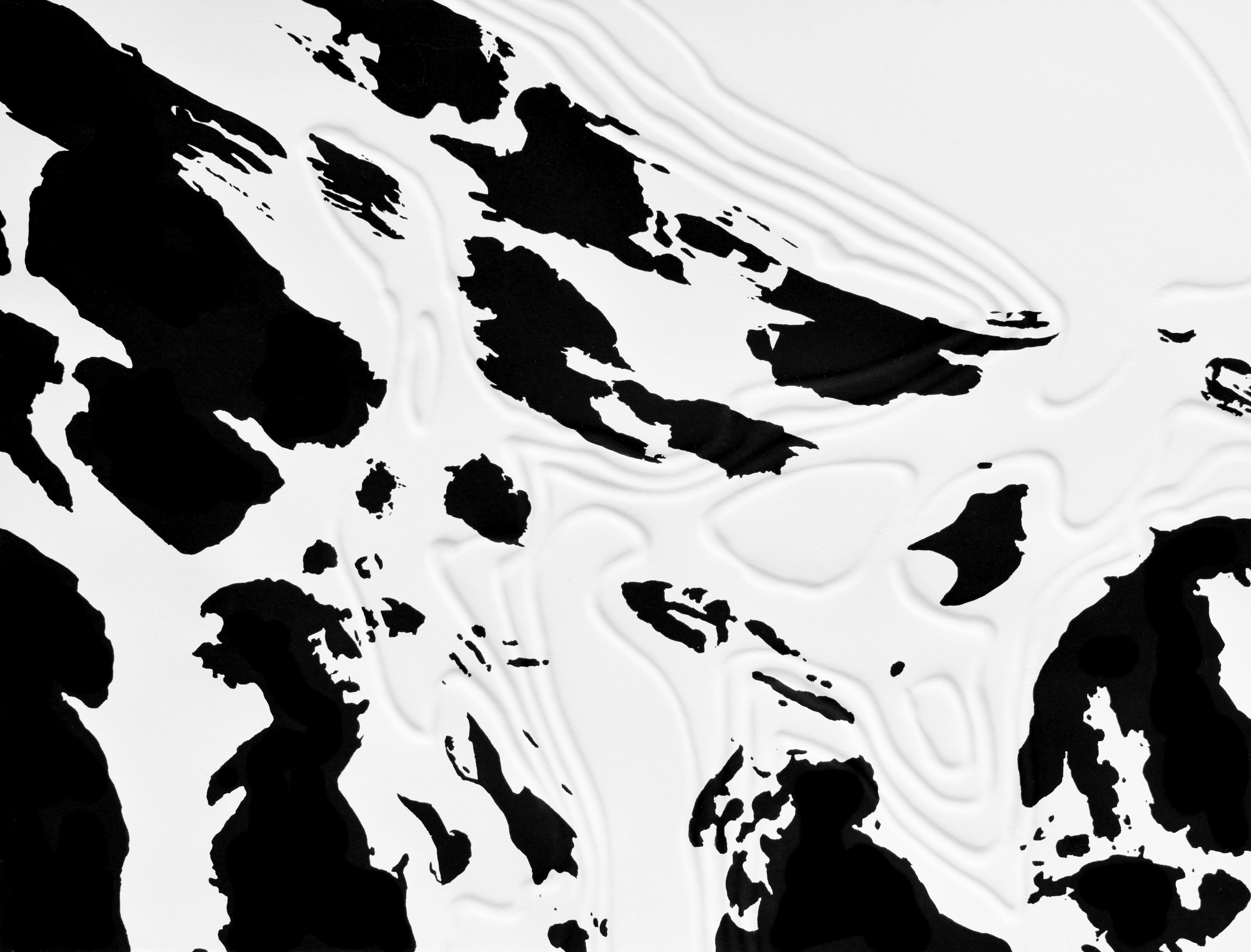 Supporting Conservation through Art | Natasha van Netten