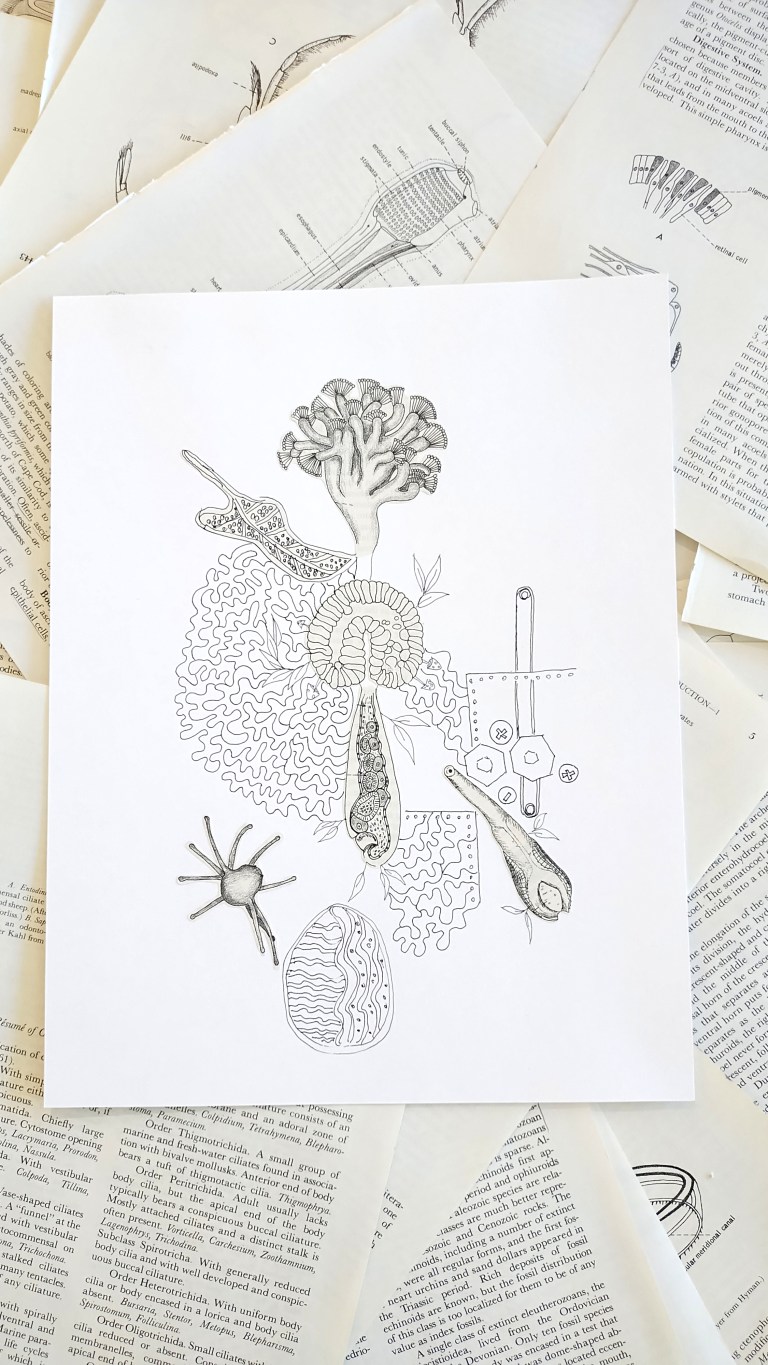 Cutting Up Books is Good for the Soul | Natasha van Netten