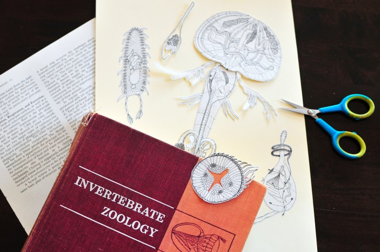 Cutting Up Books is Good for the Soul | Natasha van Netten